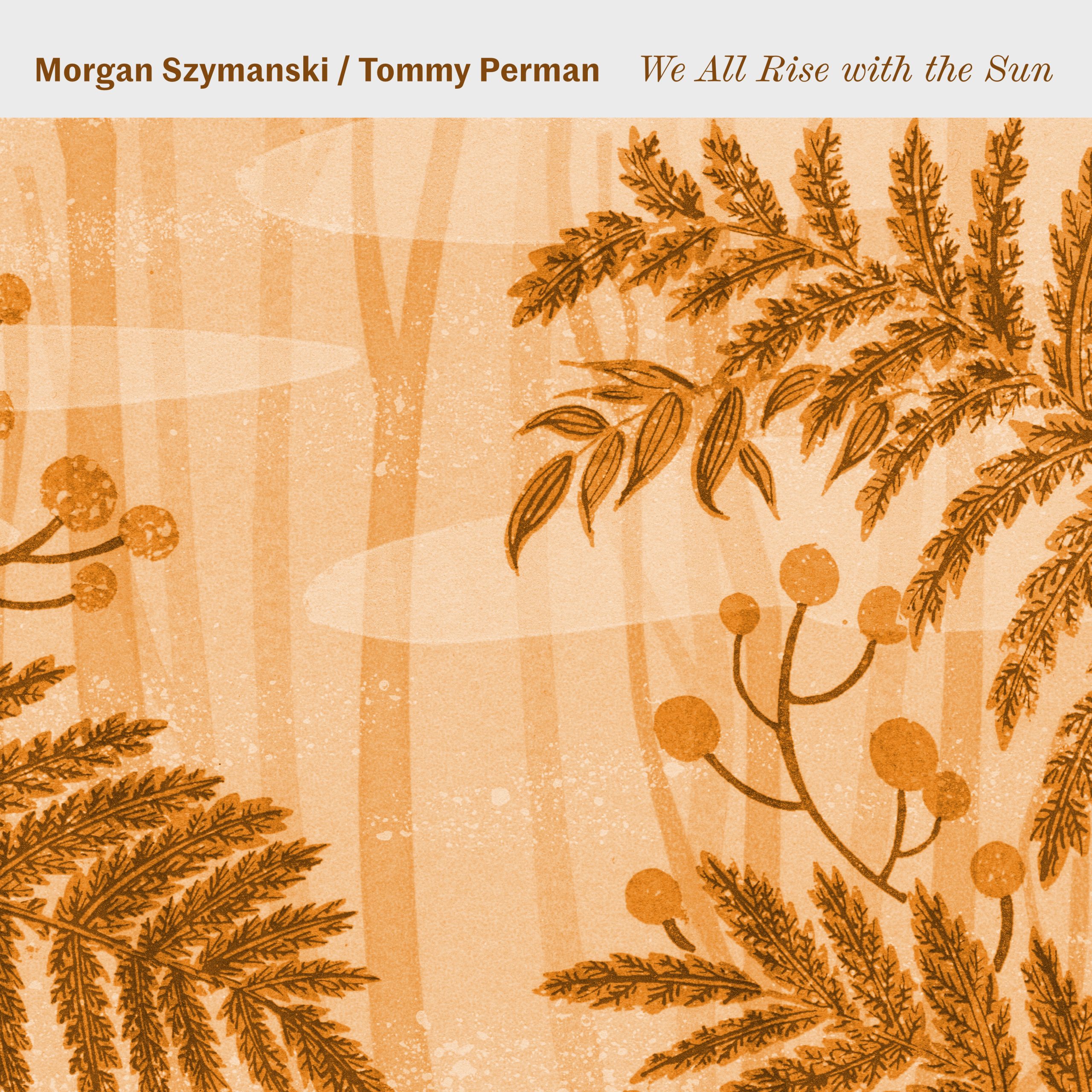 Link in bio – Tommy Perman